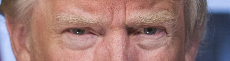 What Is Donald Trump's Eye Color?