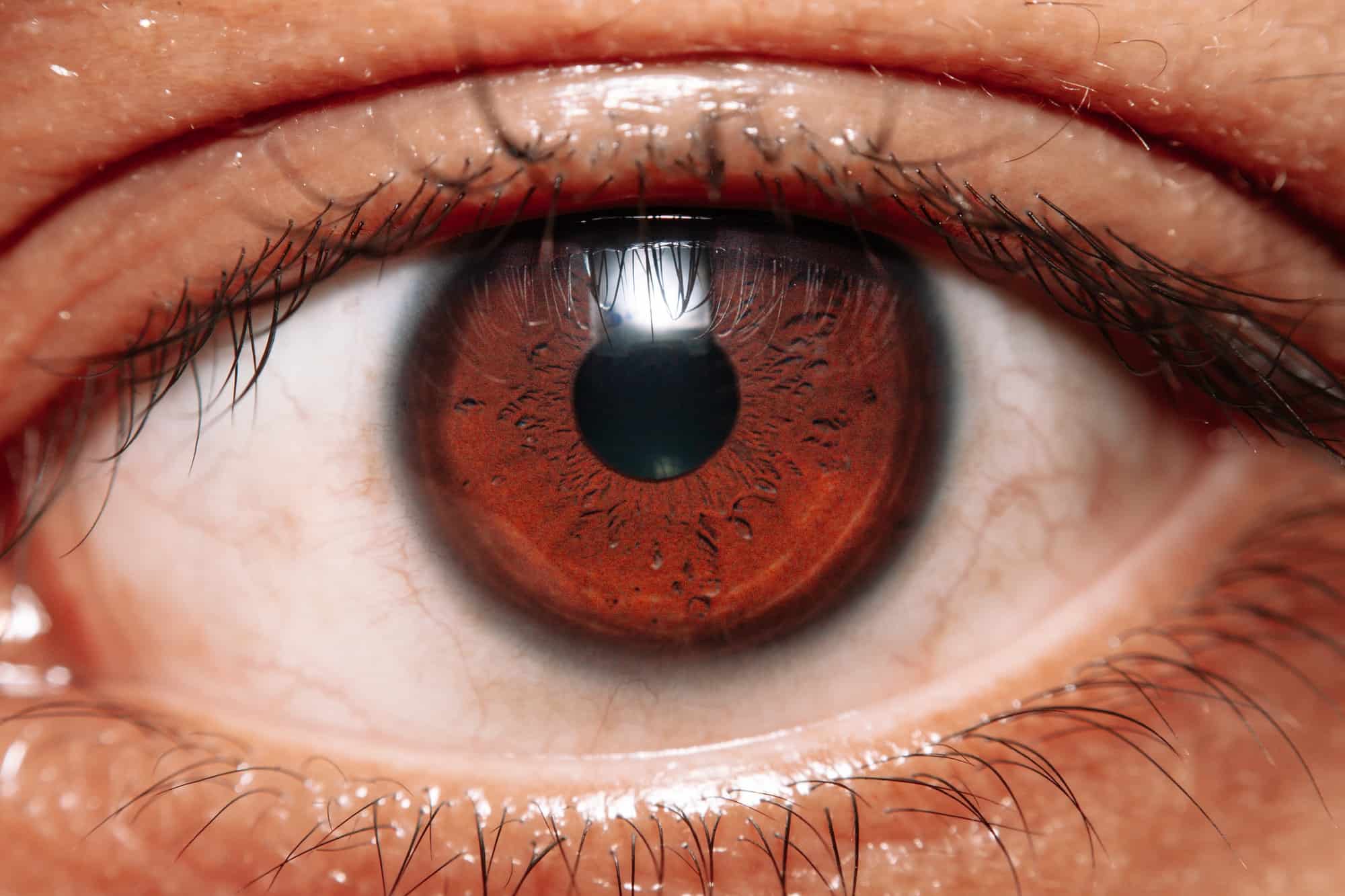 What Is Jason Momoa s Eye Color 