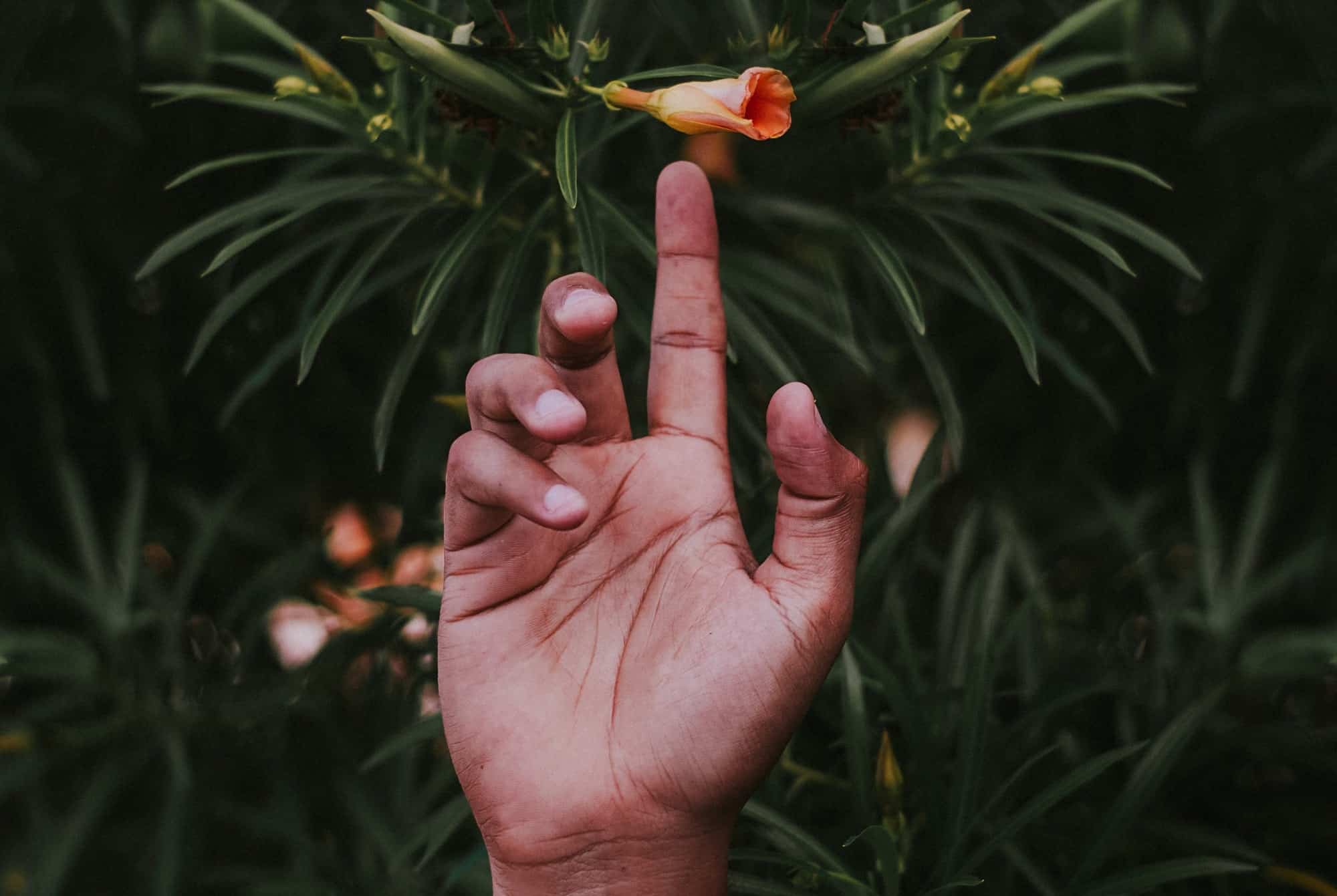 Is Rihanna Left Handed?