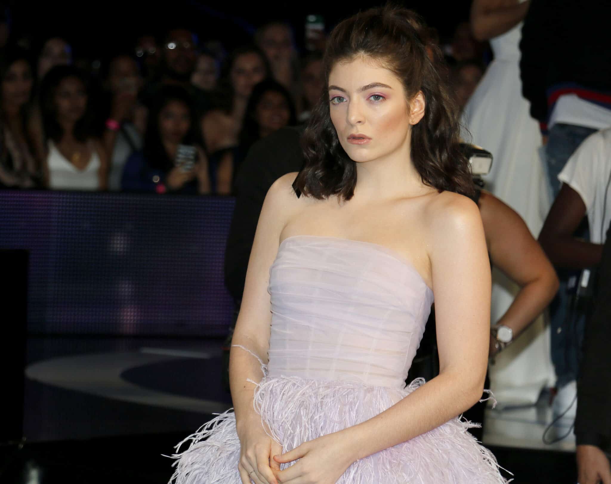 What Did Lorde Do Before She Was Famous?