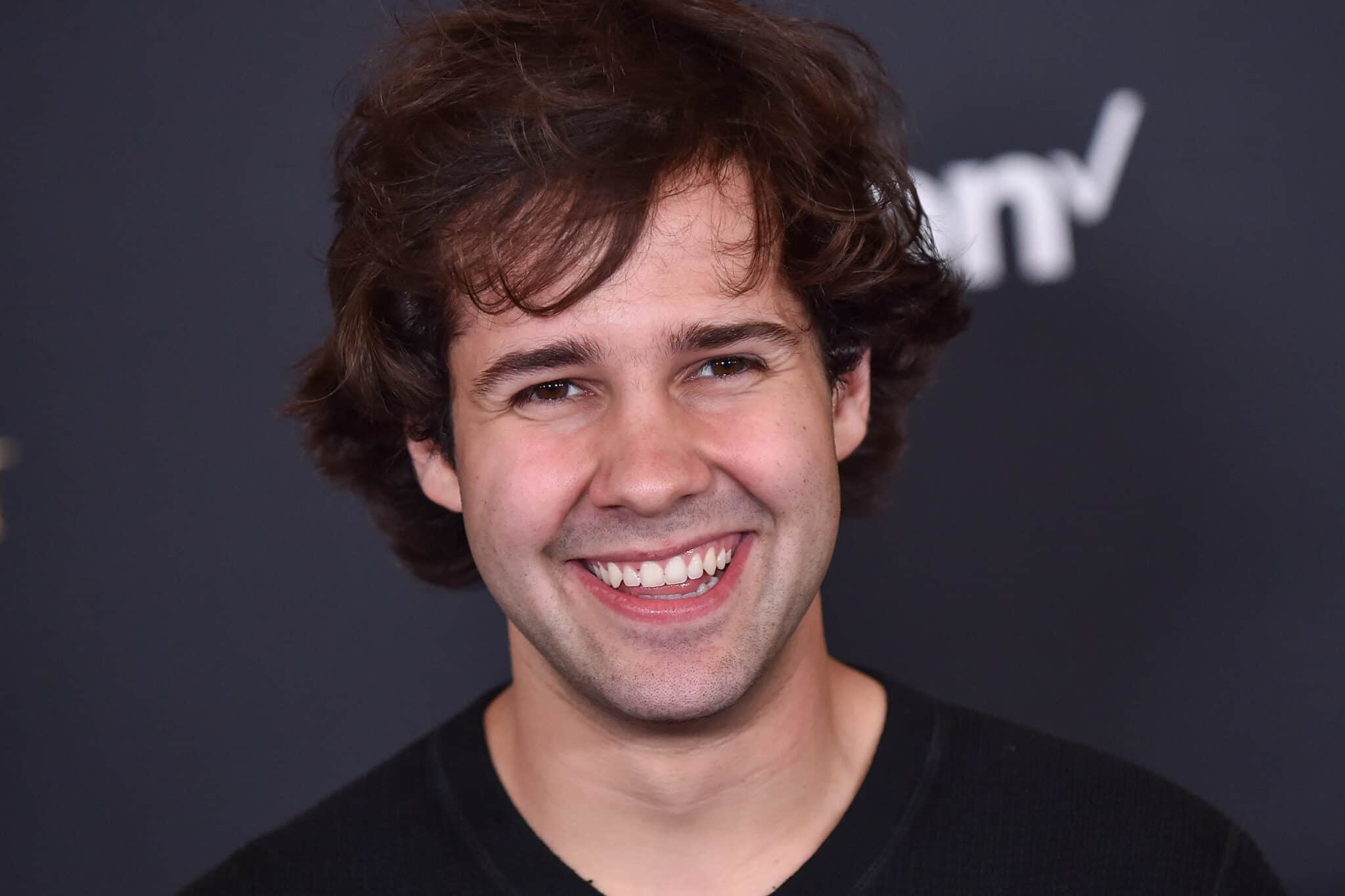 How Did David Dobrik Make His Money?